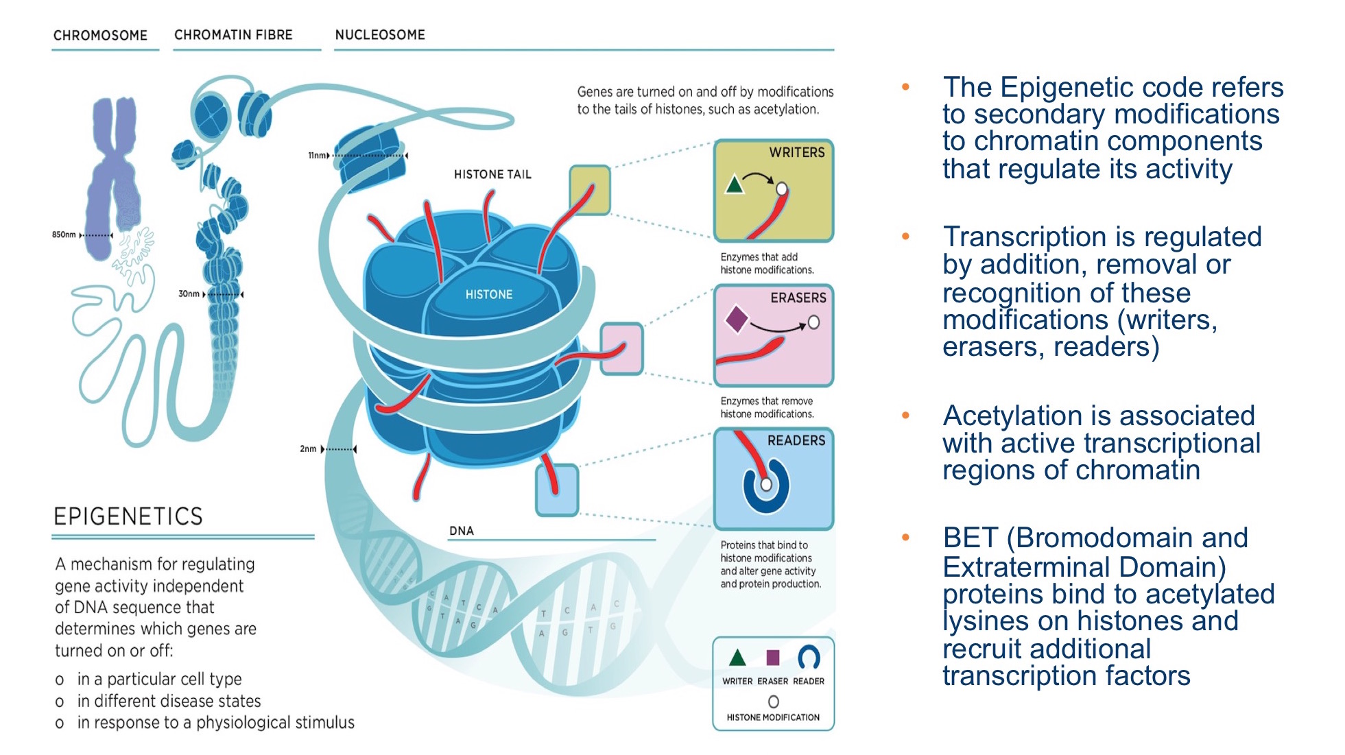 Epigenetics - Resverlogix Corp.